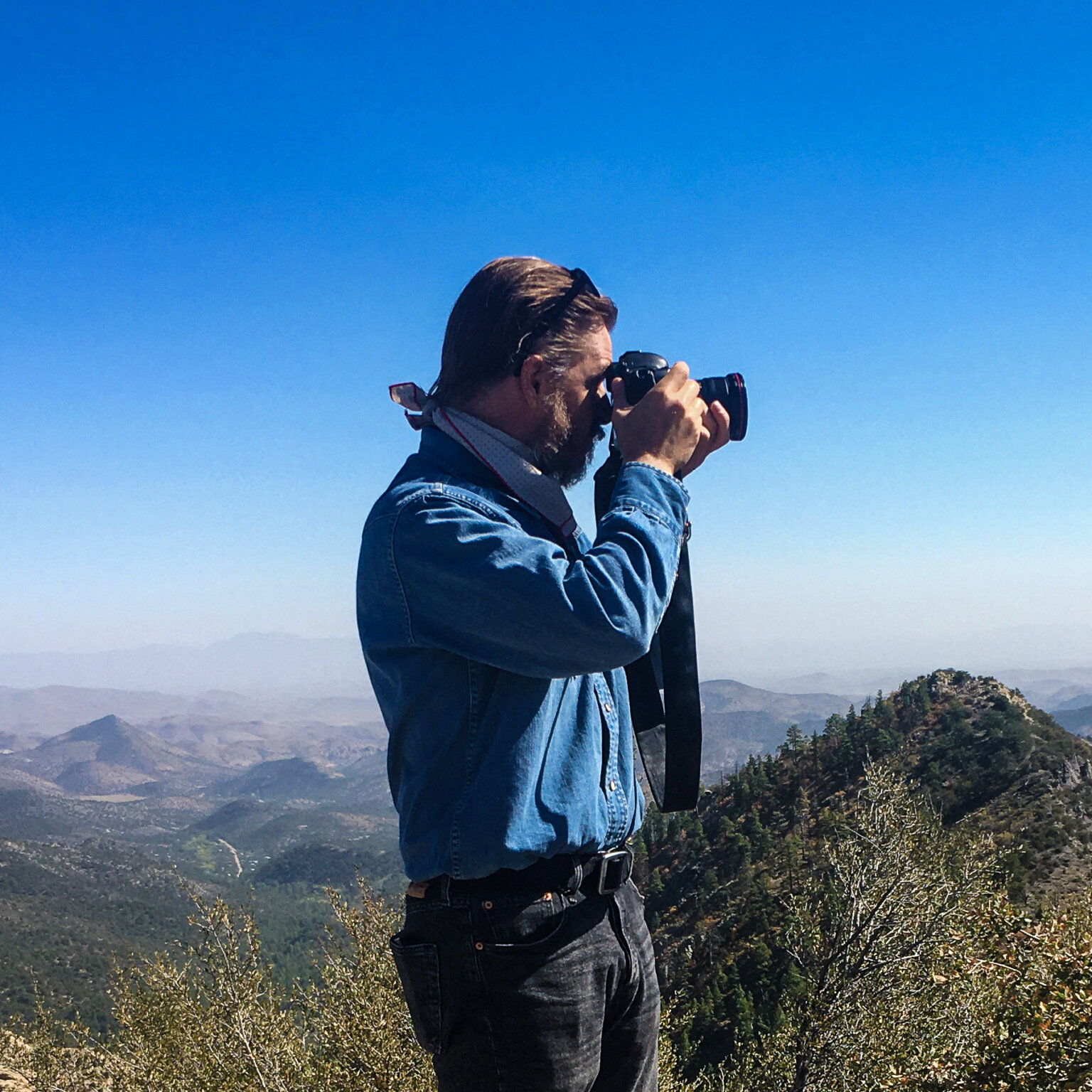 Nathan Larson - Wild Apple