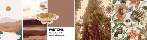 Pantone Color Of The Year 2025 - Mocha Mousse - Wild Apple